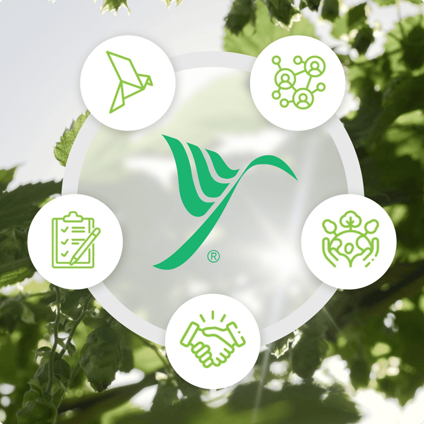 Berggren | Kestävä ja vastuullinen liiketoiminta